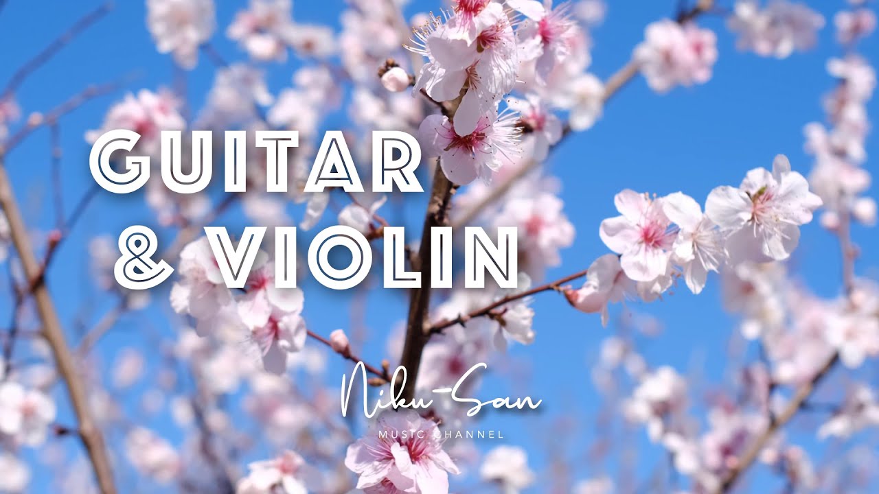 Guitar and Violin Instrumental Music, Strings Relax Music | 結他音樂、小提琴音樂 ...