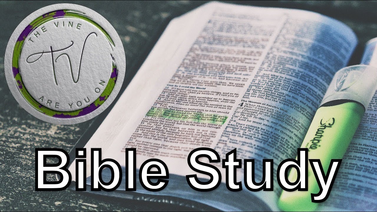 Vine Bible Study - YouTube