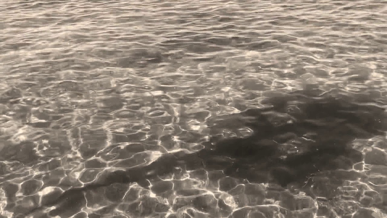 Kill Bill: The Rapper - Rain [slowed + reverb] - YouTube