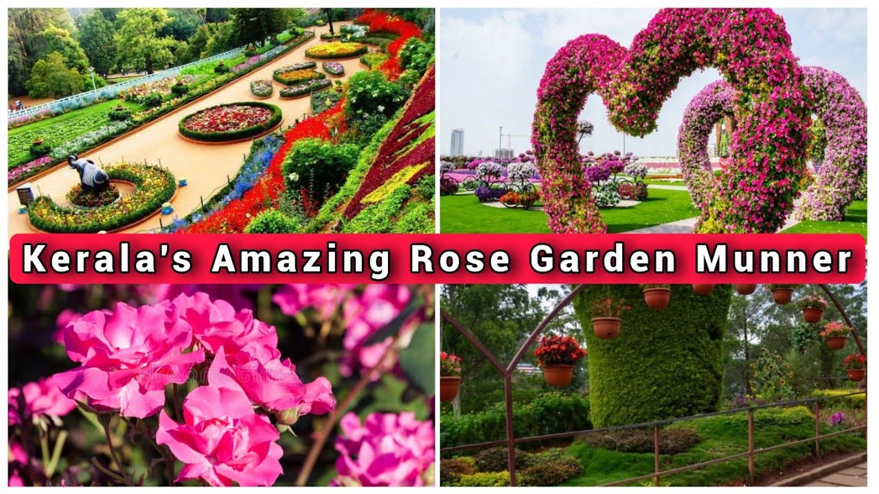 Rose garden Kerala (munnar) #vlog40 #princevlogs07 # ...