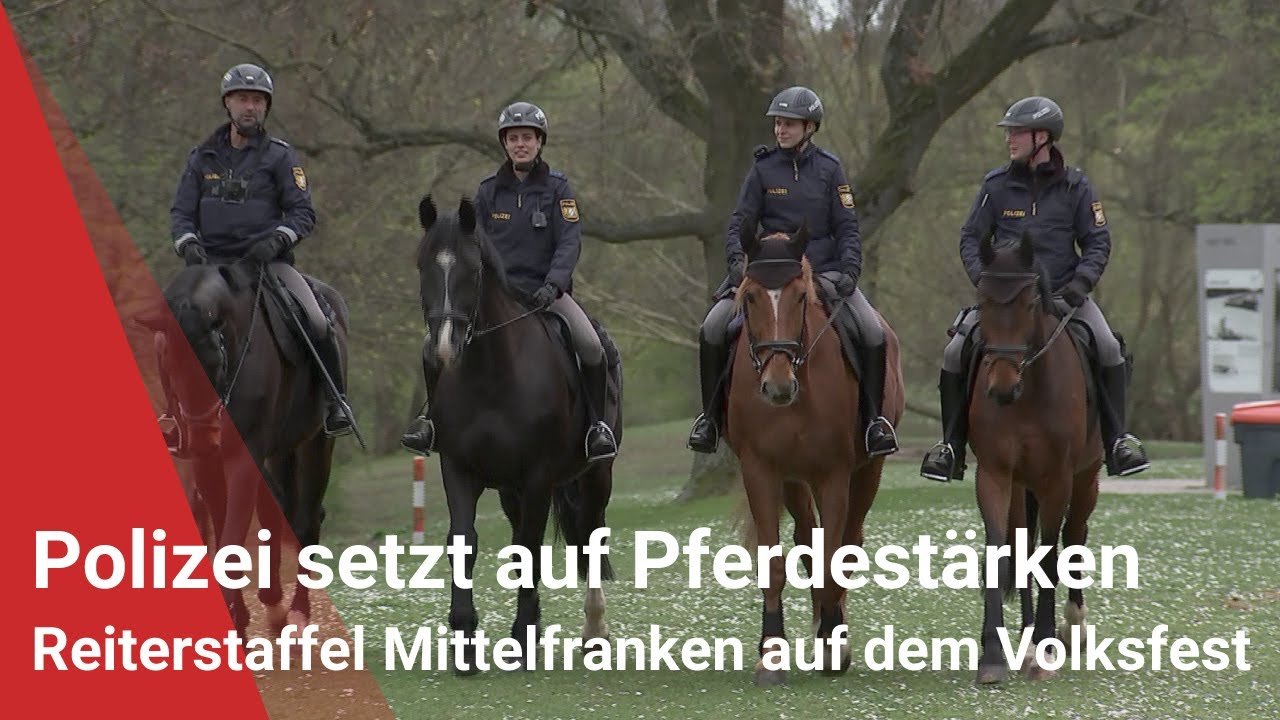 Polizei setzt auf Pferdestärken: Die Reiterstaffel Mittelfranken auf ...
