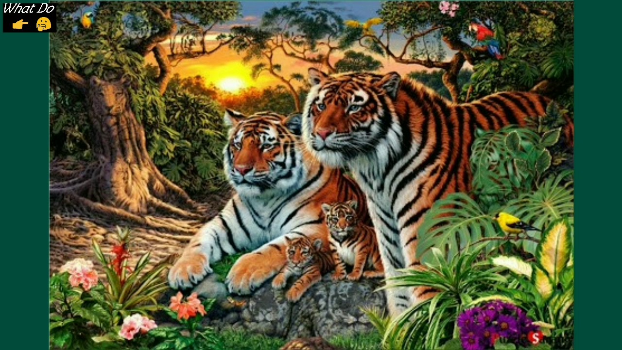 #26 - Find out the number of tigers in this picture - YouTube