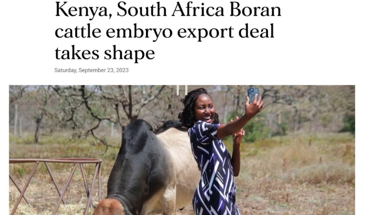 Africa announces trade deals to export embryos … is this the first step ...