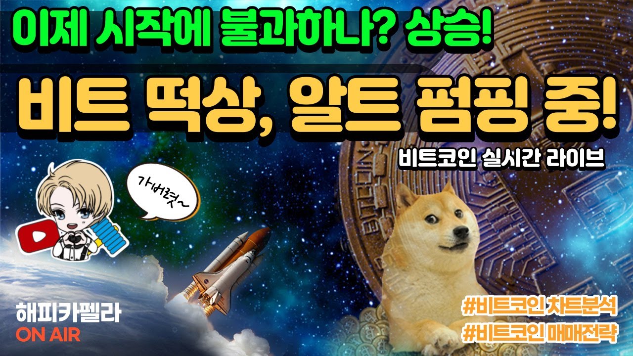 비트코인 실시간 비트 떡상 알트 펌핑 중 이제부터가 중요하다 12점심💎 비트코인 비트코인실시간 이더리움 리플