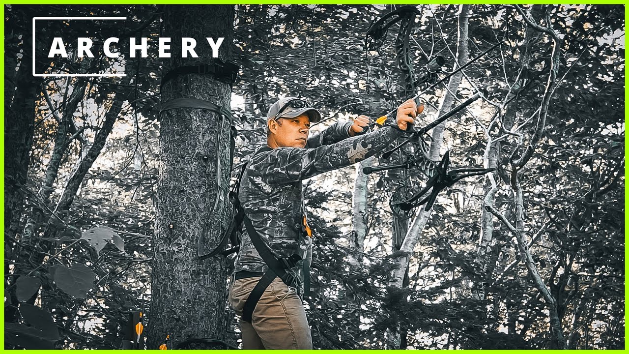 ARCHERY Practice from a TREE STAND - YouTube