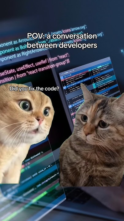 Cat Coders 🐱💻: Hilarious Developer Talk in Feline Form! - YouTube