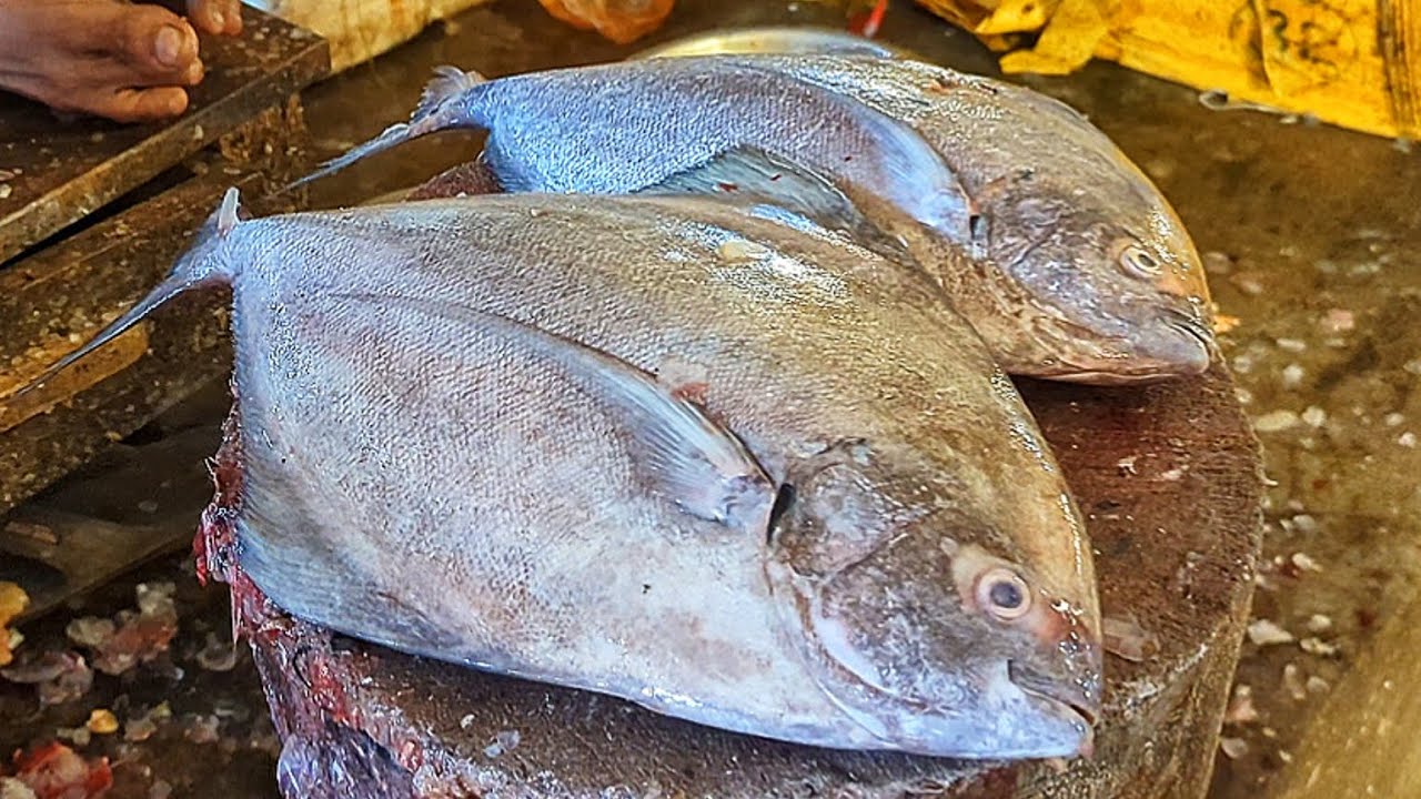 Amazing Big Black Pomfret Fish Cutting Skills Live In Fish Market ...