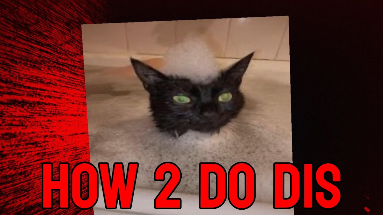 How To Customize A-60 | Rooms & Doors - YouTube