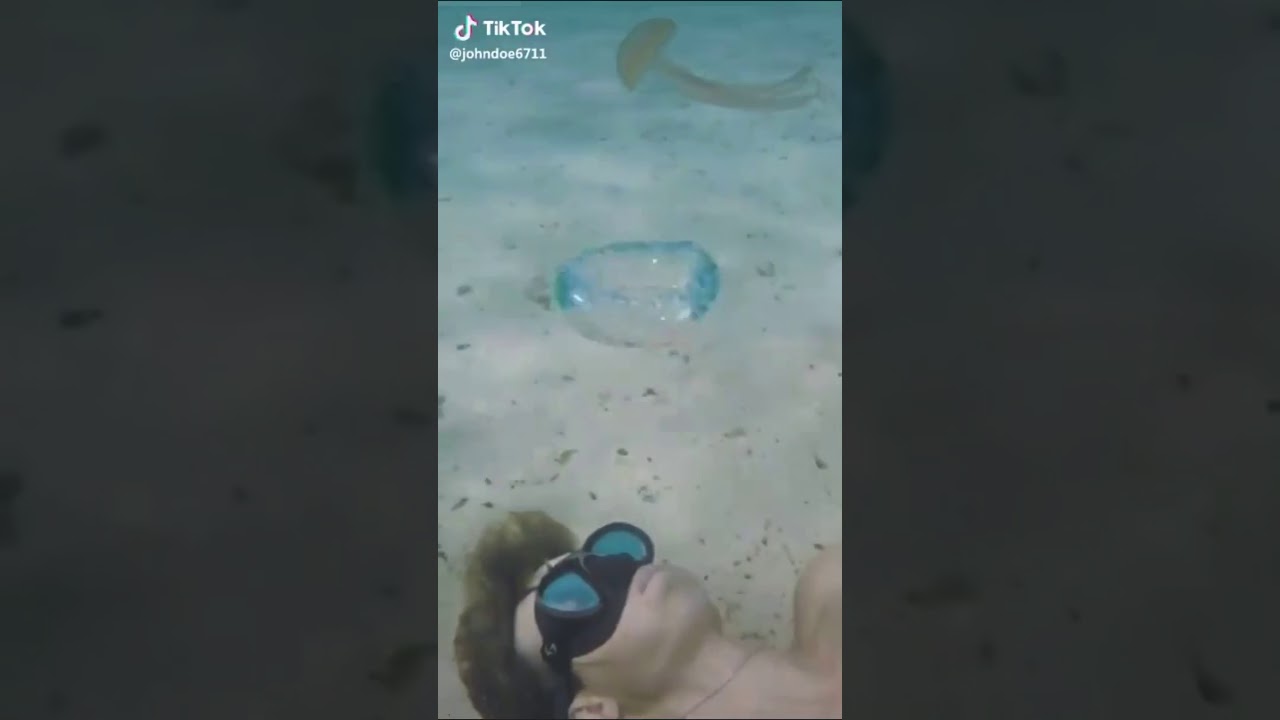 Jellyfish Spinning in Air Bubble Viral Tik-Tok - YouTube