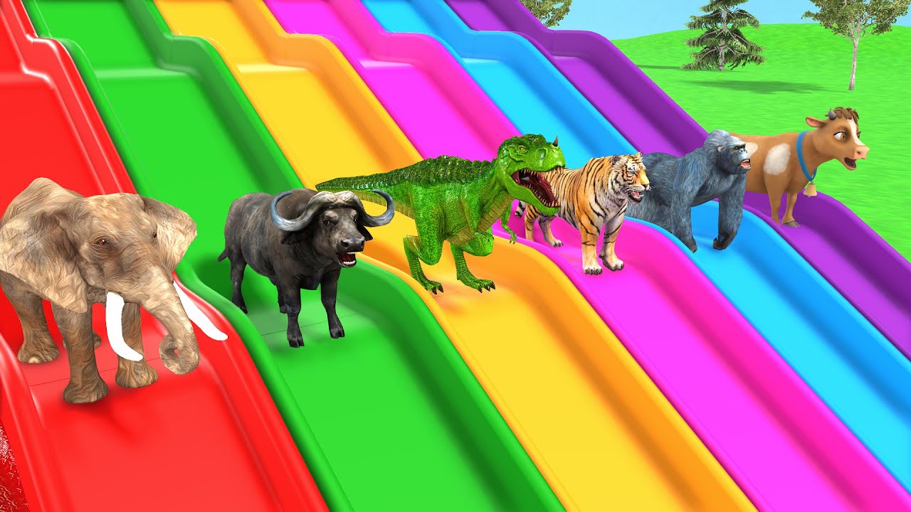 Long Slide Game With Cow Elephant Tiger Gorilla T-Rex Mammoth Hippo ...