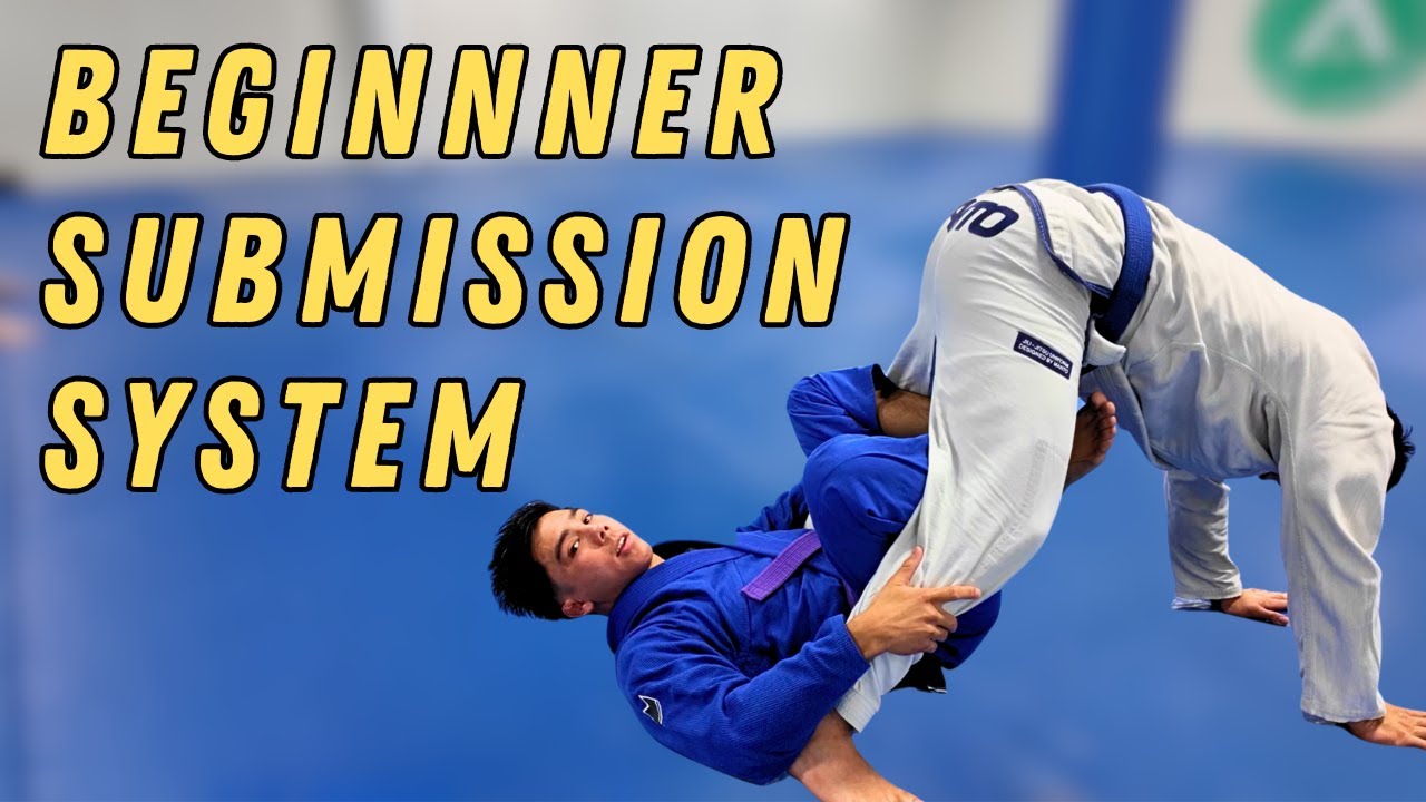 Best submission system for beginners | Arm-Lock - YouTube