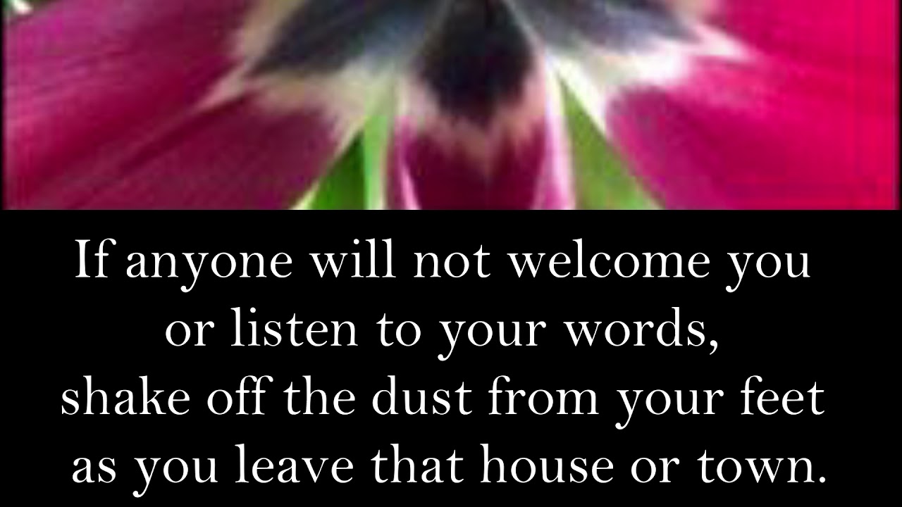 Scripture Lesson: Matthew 10:5-16 NRSV - YouTube