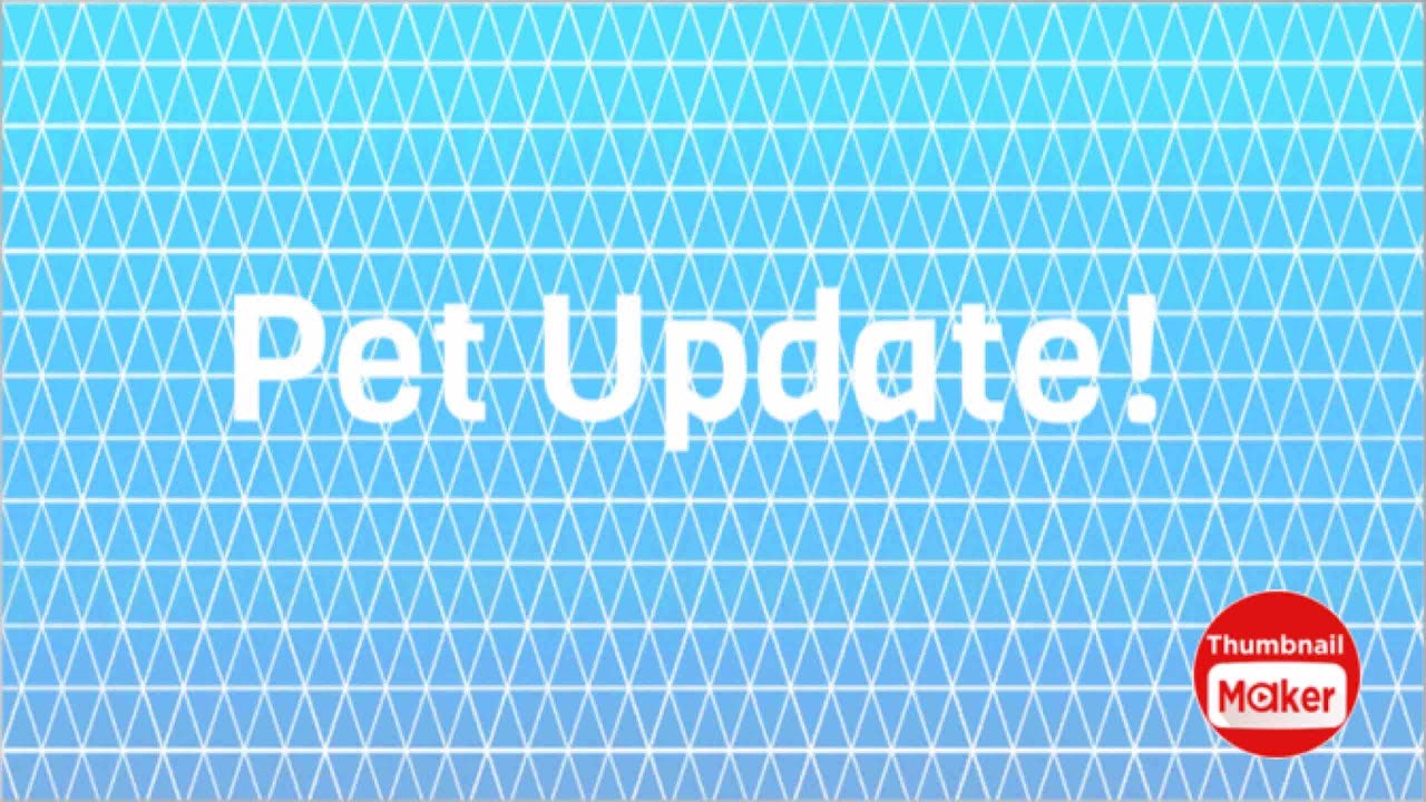 Pet Update!! - YouTube