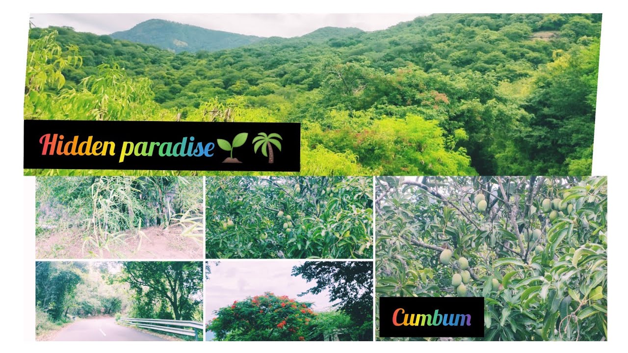 Cumbum beauty vlog|Hidden paradise|Cumbum,theni|bike ride|The Cumbum ...