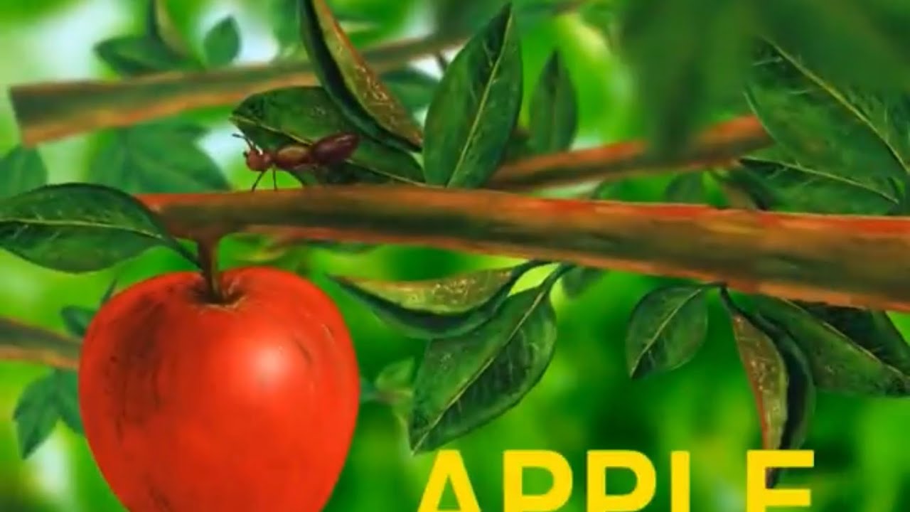 Learn the ABCs”A” is for ANT - YouTube