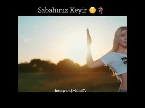 Alina ve tilki