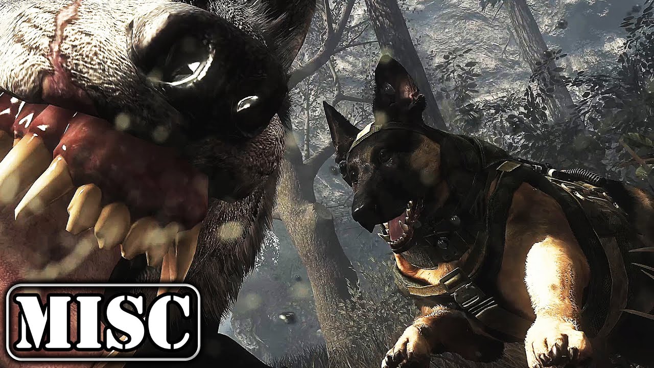 CALL OF DUTY: GHOSTS | 2023 | All Riley's Cutscenes - YouTube