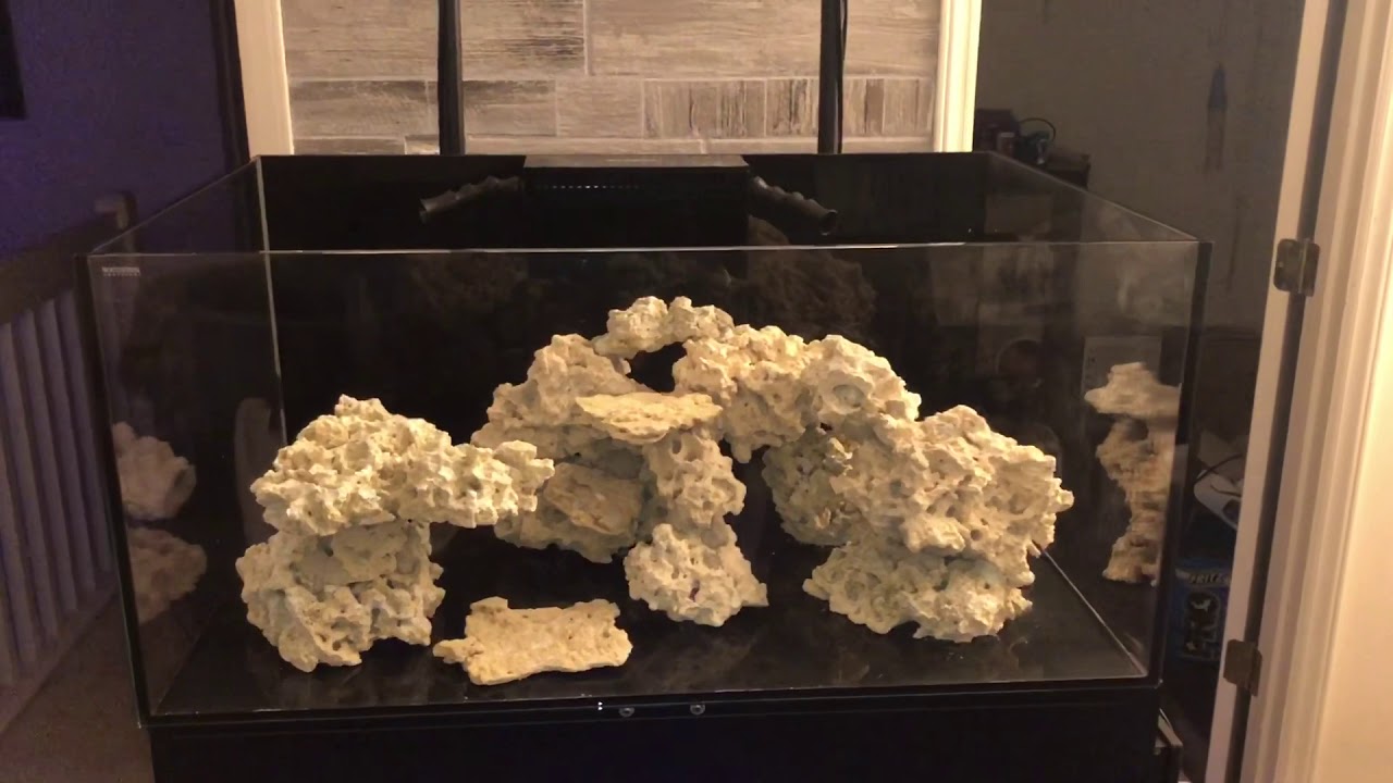 LDC’s Reef Waterbox Frag 85.3 Tank Build Part 1. - YouTube