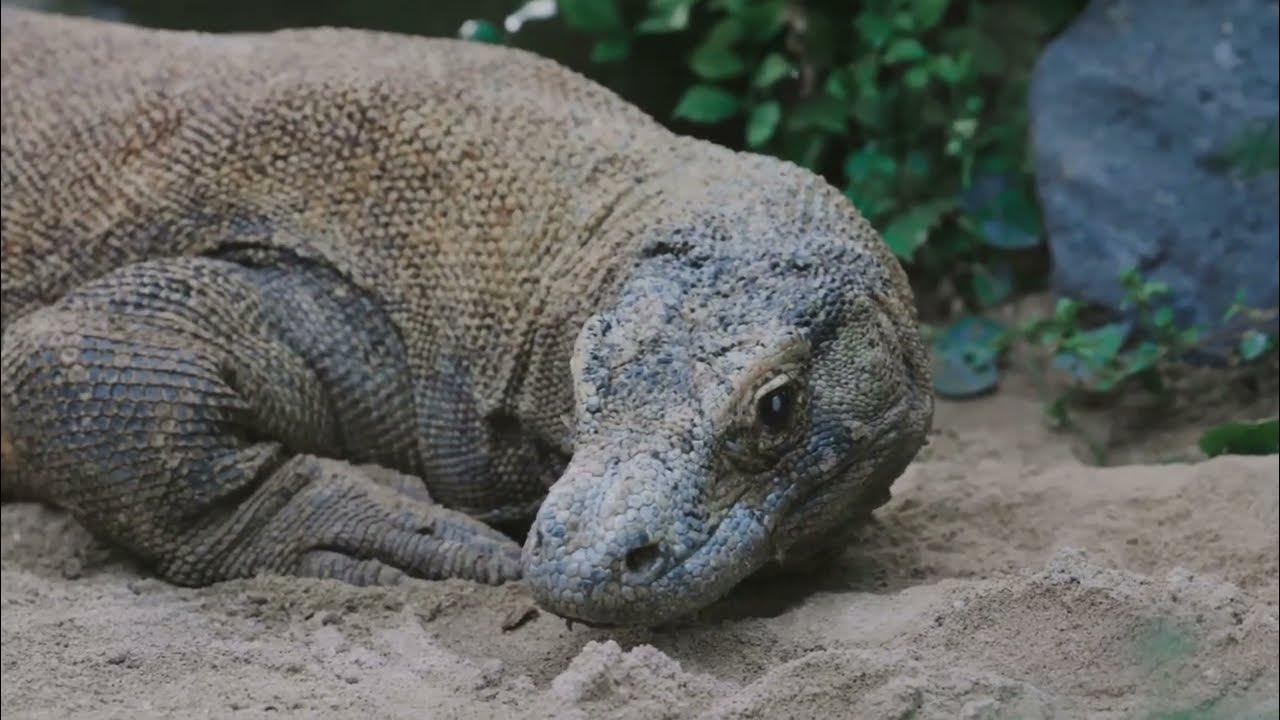 Wonders of Asia / Exploring the Wonders of Asia A Journey - YouTube