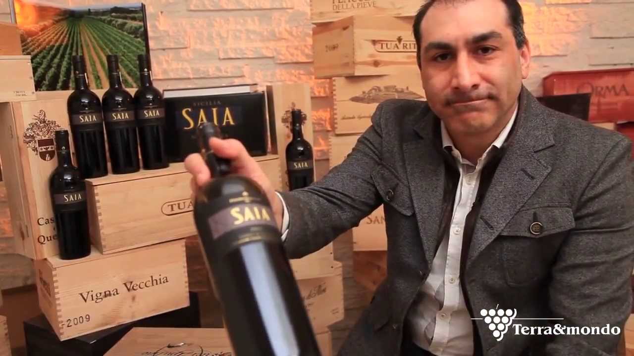 Vino Tinto Cata Vino SAIA por Roberto Curiel de Terra & Mondo - YouTube