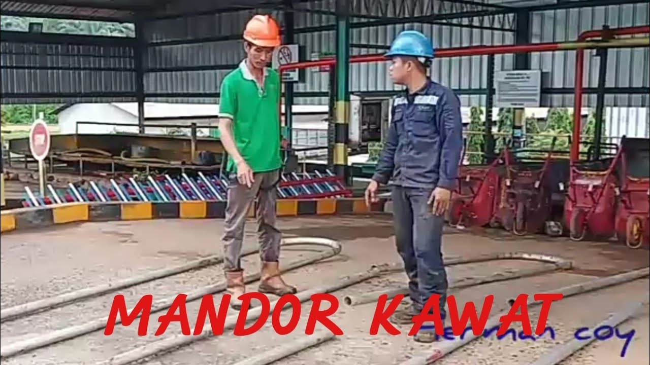cara kerja mandor proyek - YouTube