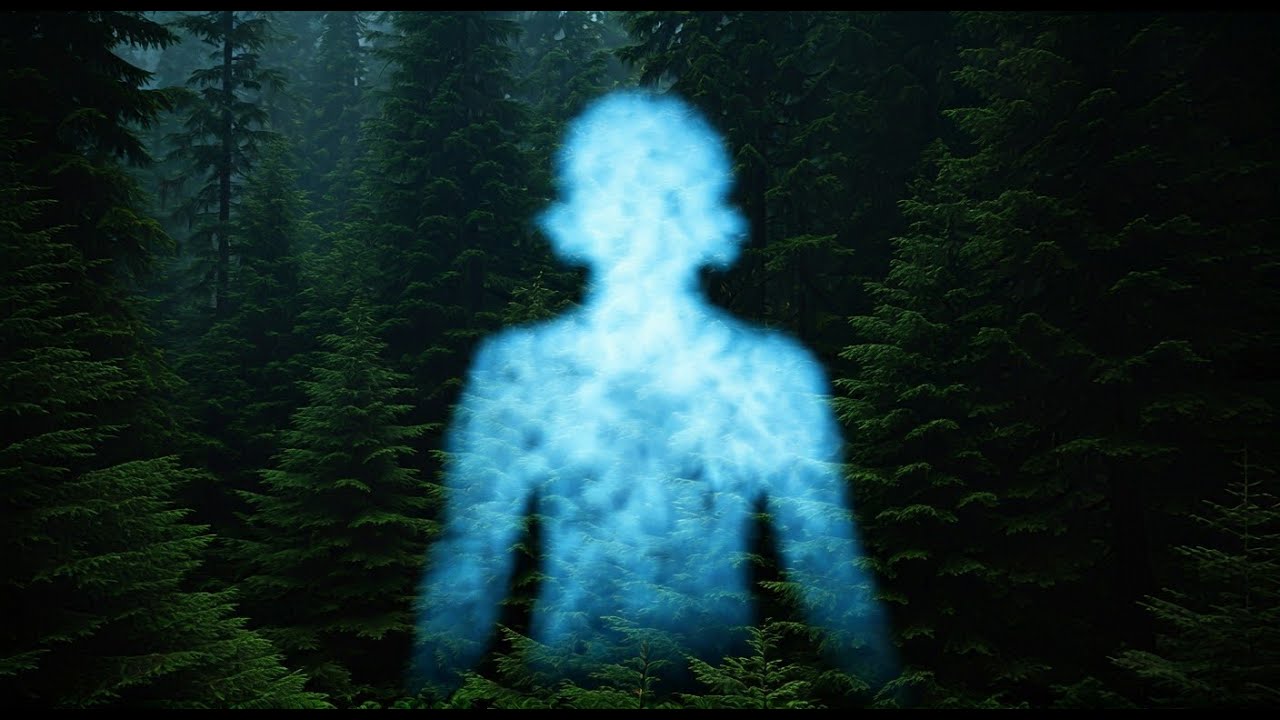 The Allagash Encounter: A TERRIFYING UFO Abduction Horror Story - YouTube