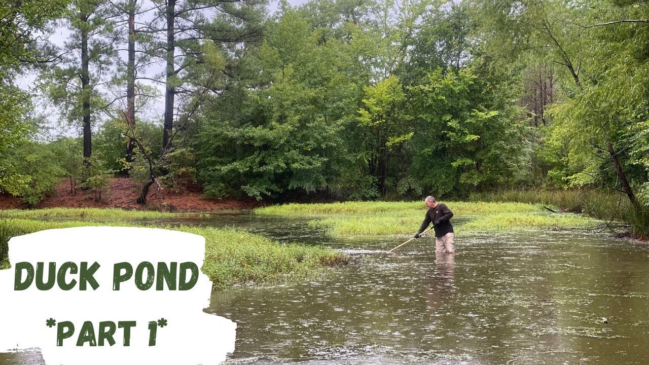 DUCK POND REHAB! | Part 1 - YouTube