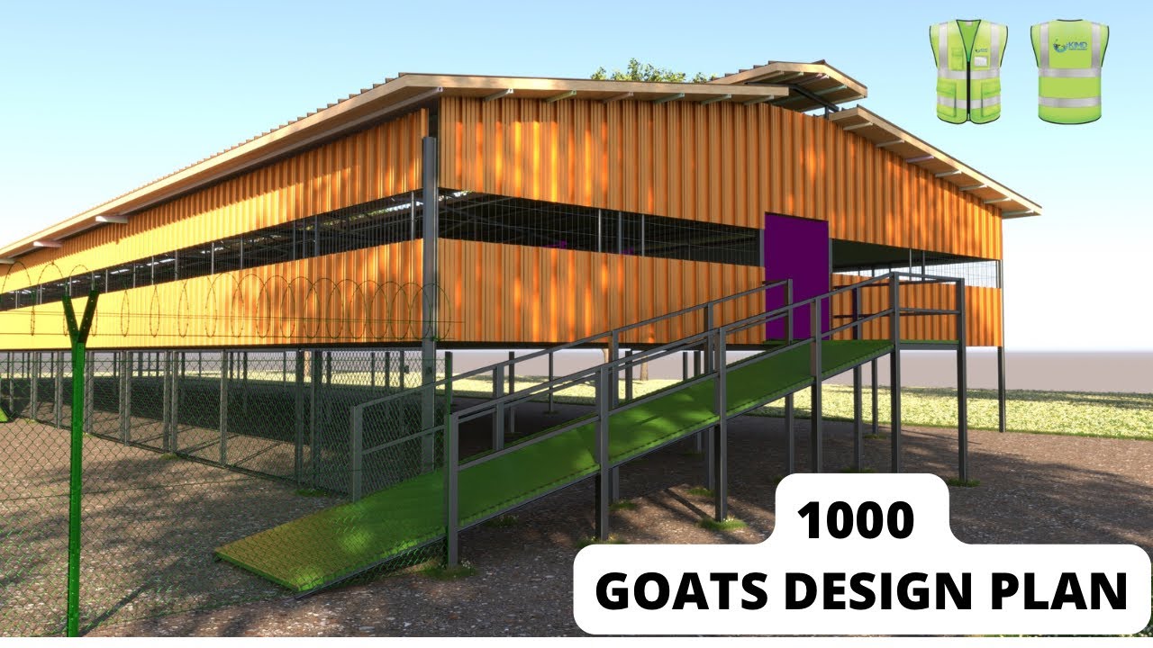 Standard 1000 Goats Structure Design Plan | Nigeria Site | 2024 - YouTube