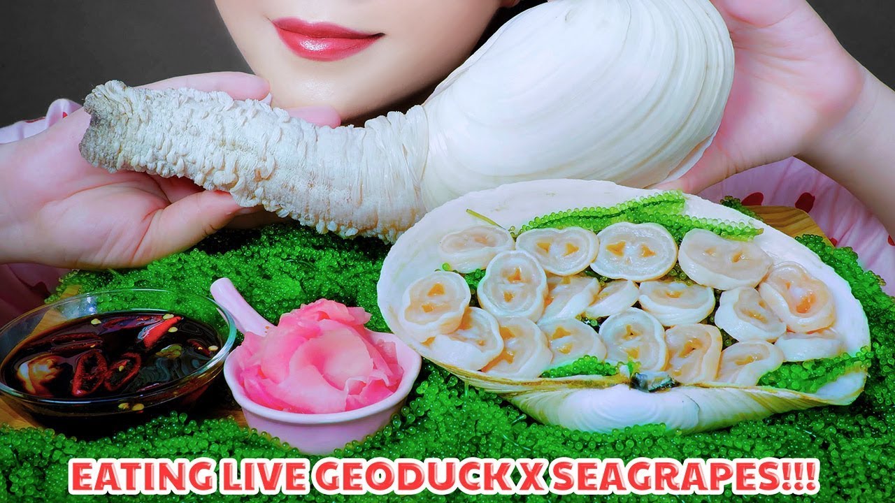 ASMR MAKING LIVE GEODUCK SASHIMI AND RAW SEAGRAPES CRUNCHY EATING SOUNDS | LINH-ASMR - YouTube