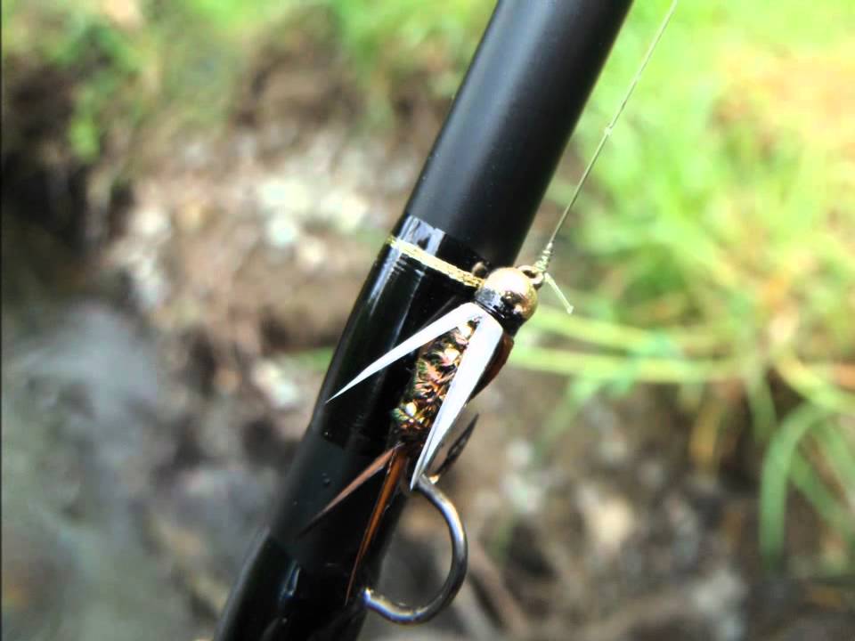 Fly Fishing (Underwater) HD - YouTube