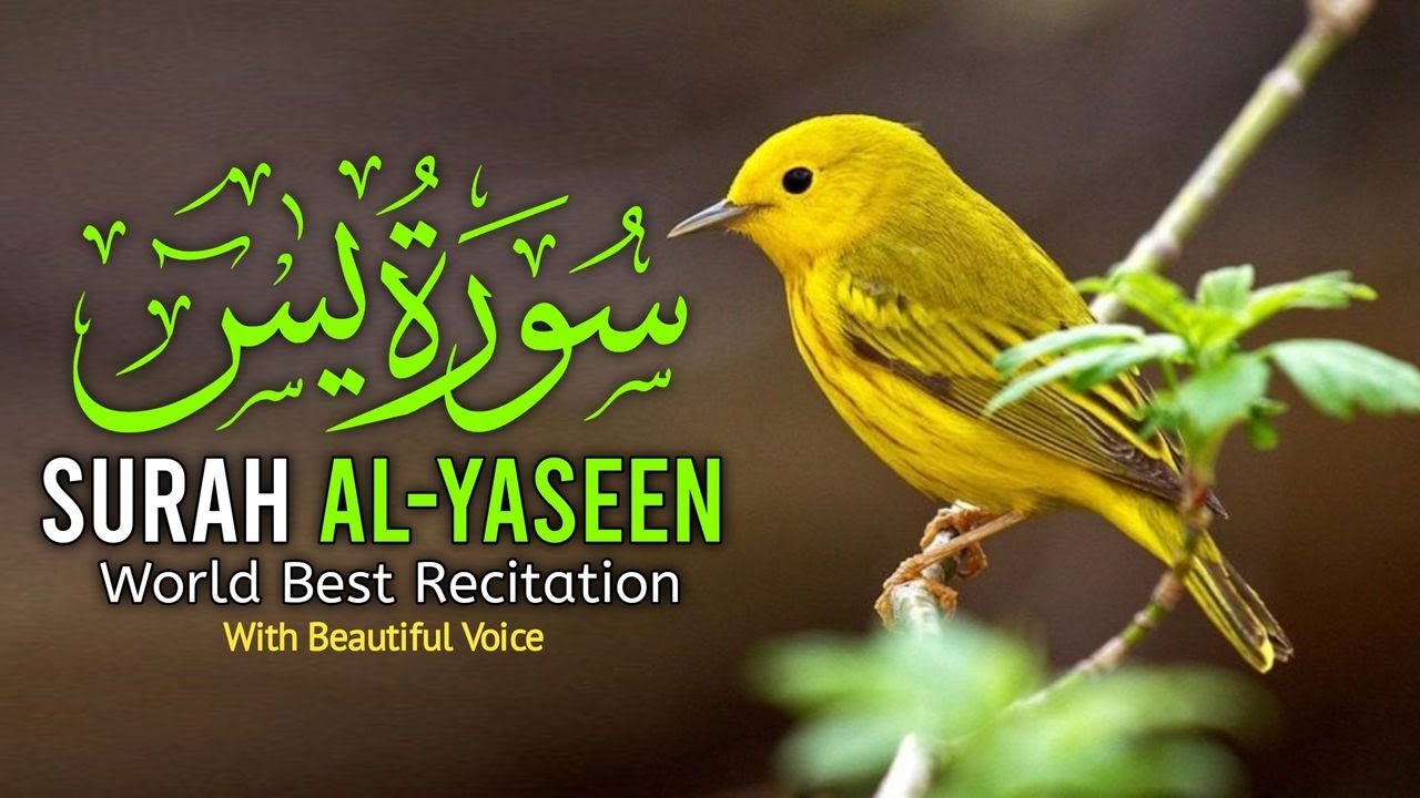 Surah Yasin (Yaseen) Full With Arabic | Beautiful Recitation | Yaseen ...