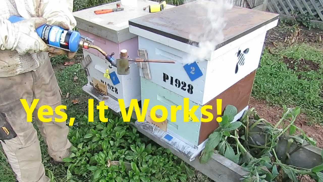 Ep 72 Trying the Gas Vap for the first time - YouTube