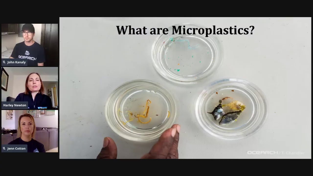 Virtual STEM Class Grades K-6: Microplastics - YouTube