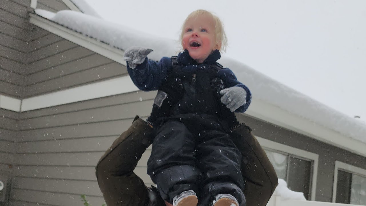 November 8th 2024 Snow day backyard snowballs! - YouTube