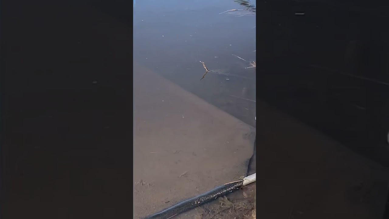 Muckmat & Boatlift Mats work so well, it stops your trailer and car ...