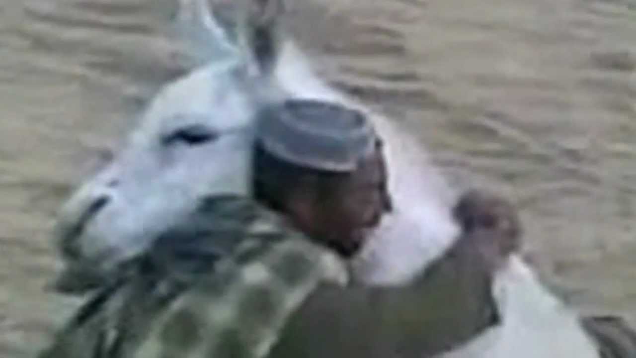 PATHAN FIGHTING WITH DONKEY..VERY VERY FUNNY..BY TAHIR KHAN - YouTube