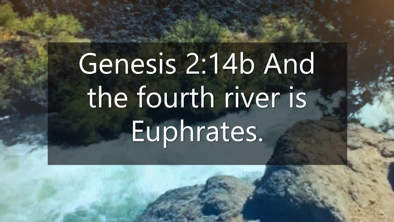 The Law of Genesis Chapter 2 Part #7 - YouTube