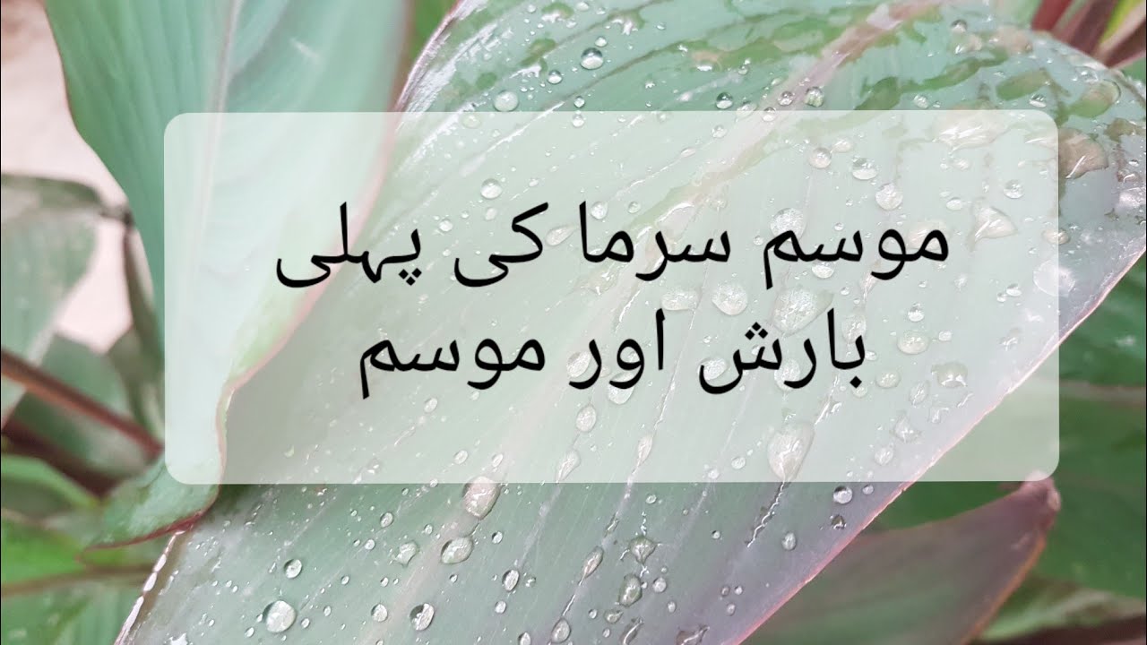 Dhokbhoripothasher Mosam Sarma Ki Pehli Barish Youtube