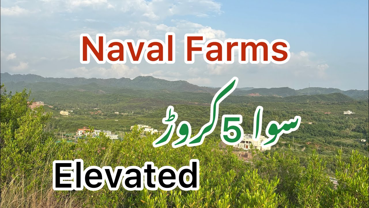 Elevated Farm Street 25, Sector “C” | Naval Farms | PN Farms ...