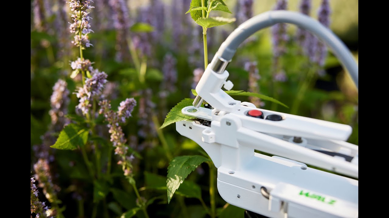 WALZ - Porometer Leaf Clip for MINI-PAM-II - YouTube