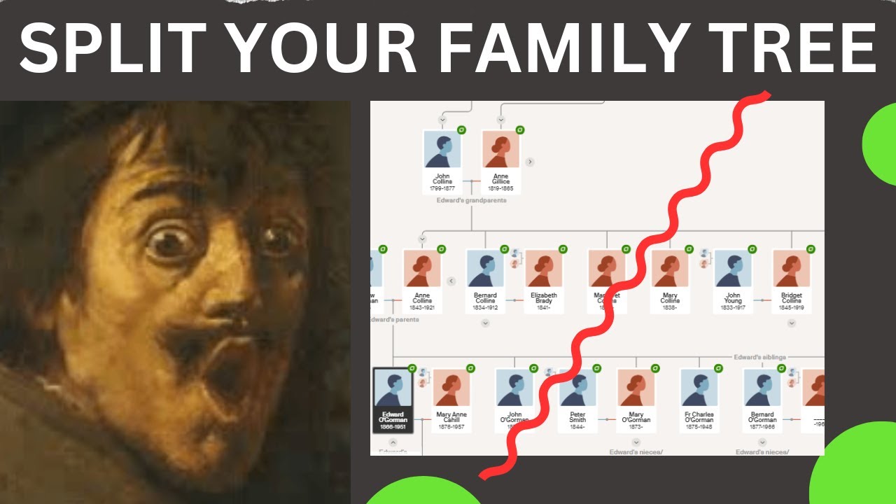 How To Split A Family Tree (Free Software) - YouTube