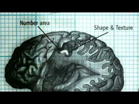Seeing sounds, hearing an emotion, & feeling numbers, really does ...