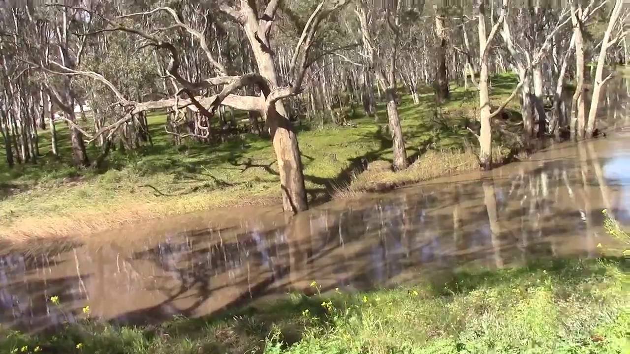 Look at during & after the Sept 2016 Avoca River flood in Charlton, Vic ...