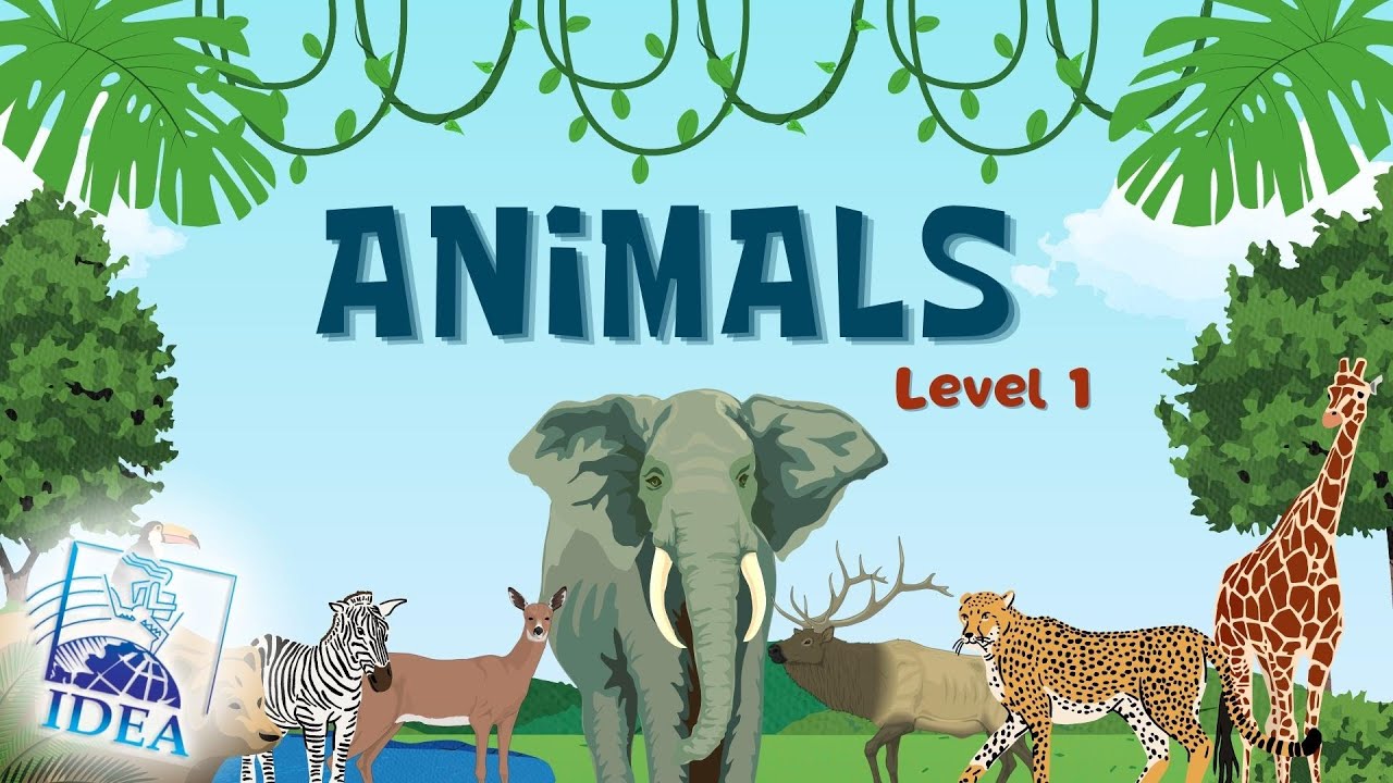 Animals Level 1 - English Science for kids - YouTube