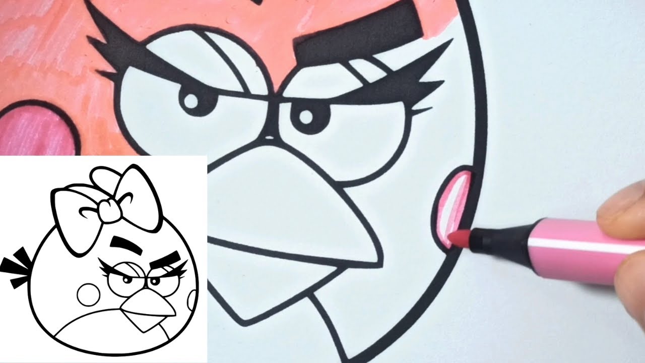 Pink Angry Bird Coloring Pages/ Pink Angry Bird - YouTube