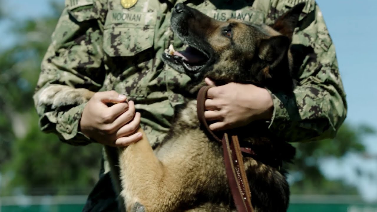 Navy Master-at-Arms – MA - YouTube