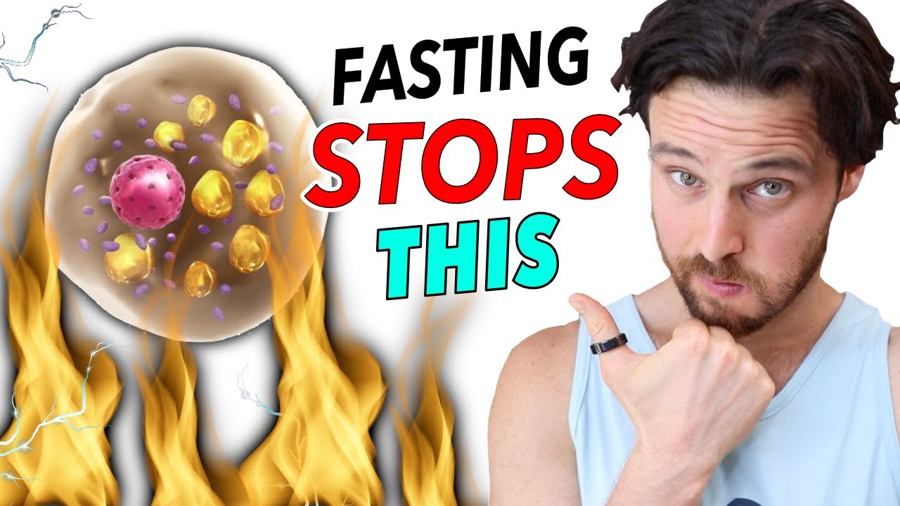 How Time Restricted Eating (TRE) Fights Chronic Inflammation - YouTube