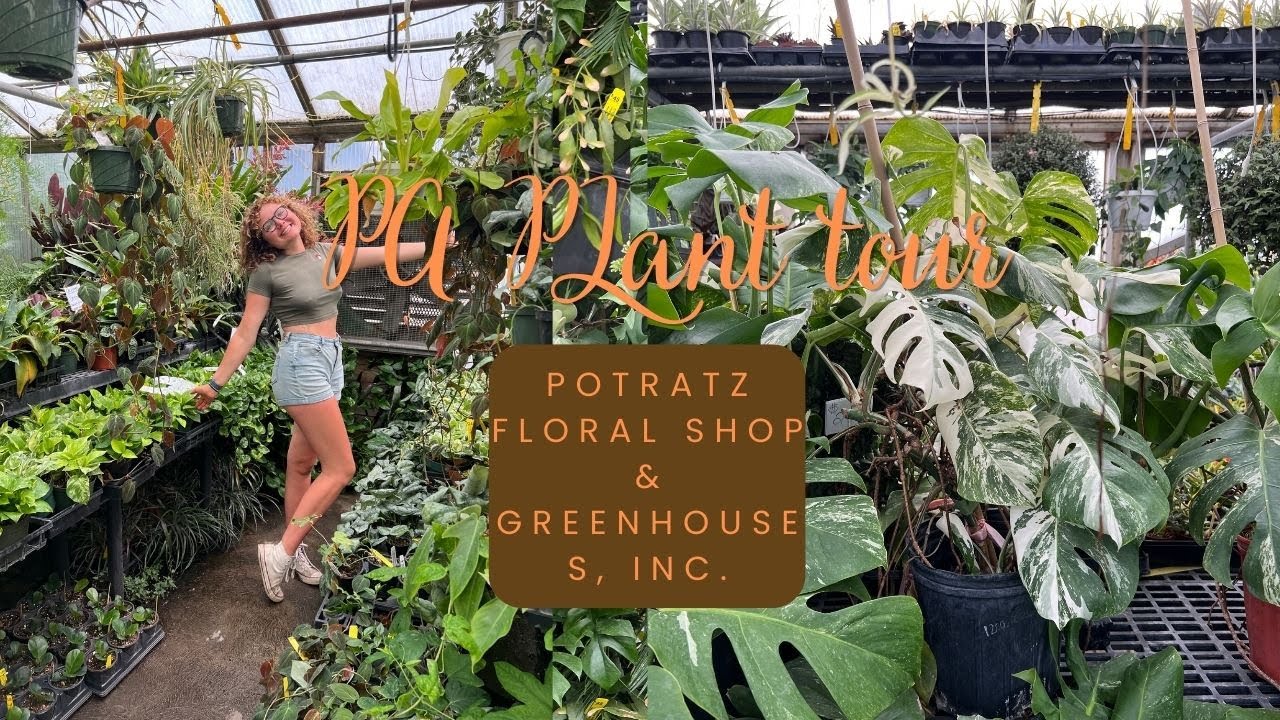 Potratz Green House Tour, PA - YouTube