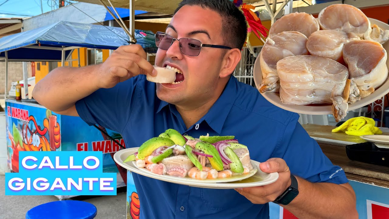 CALLO GIGANTE mas de 200 gr pesa cada uno en HERMOSILLO SONORA - YouTube