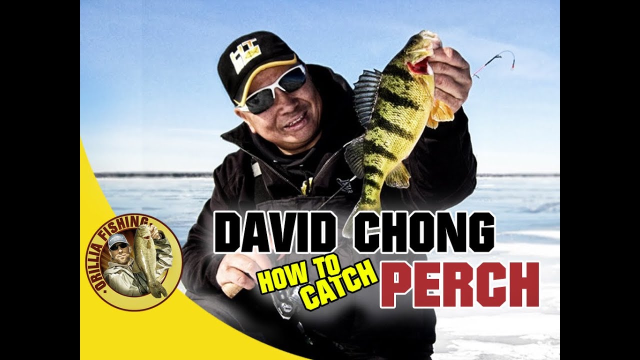 How to Catch Perch with David Chong - Canadian Ice Fishing Expo Talk ...